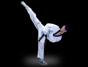 Daedo International | Tienda de artes marciales