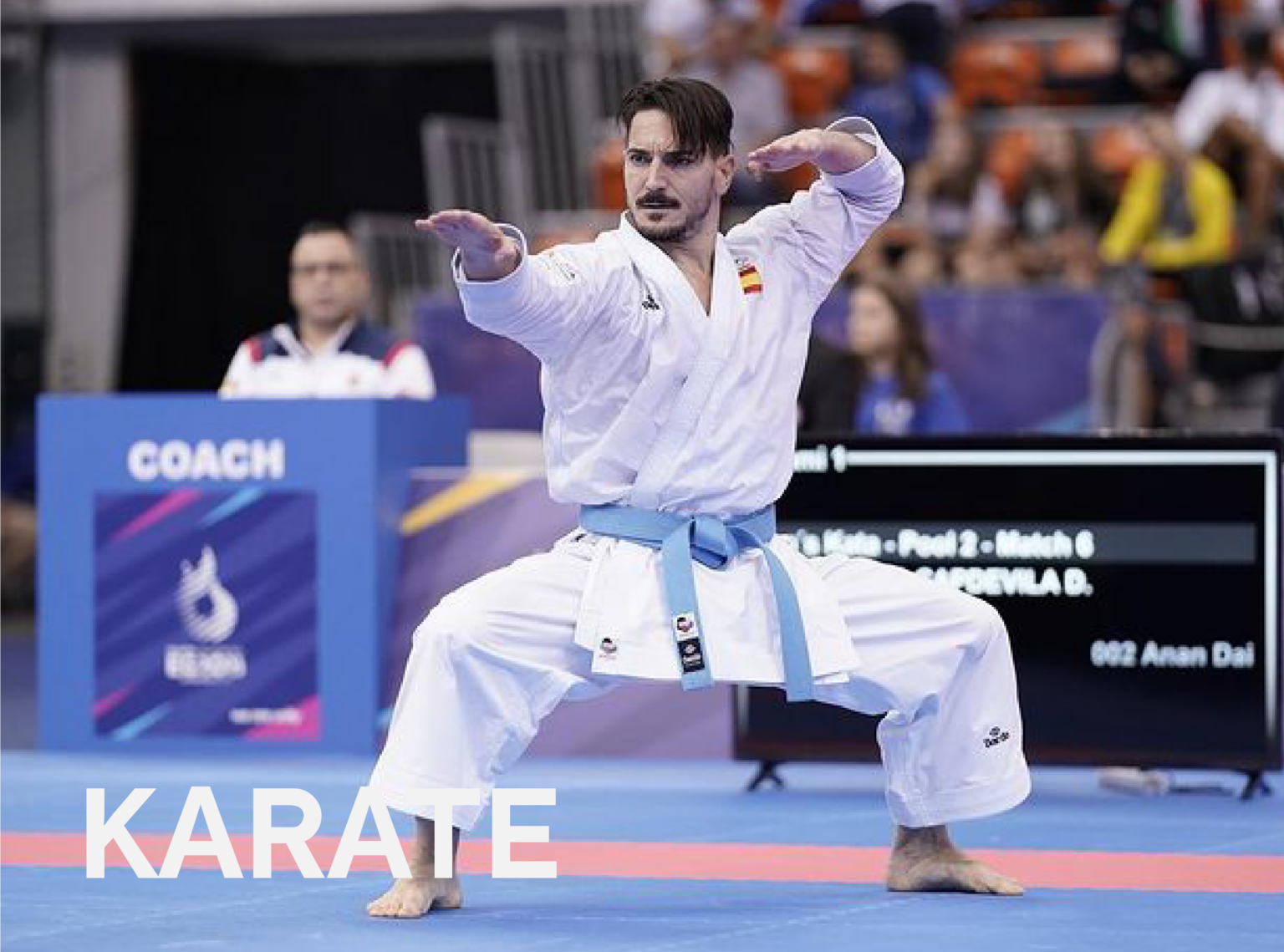 Daedo International | Tienda de artes marciales